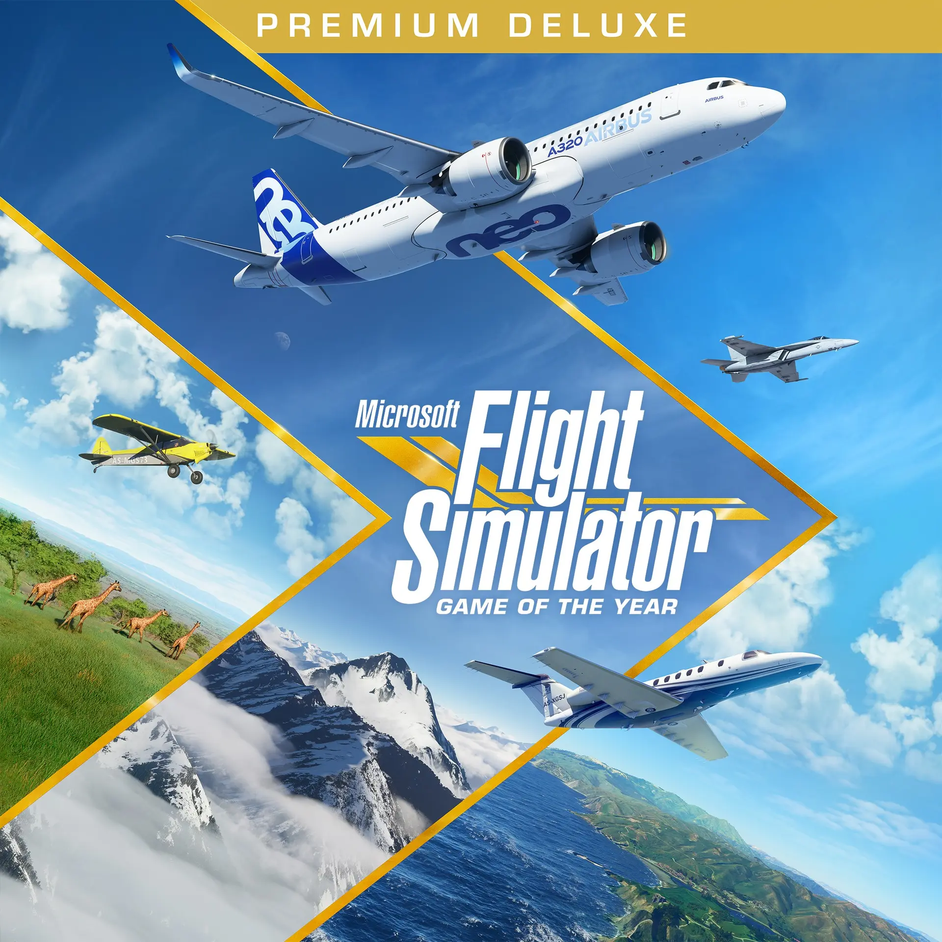 Microsoft Flight Simulator: Premium Deluxe Game of the Year Edition ...